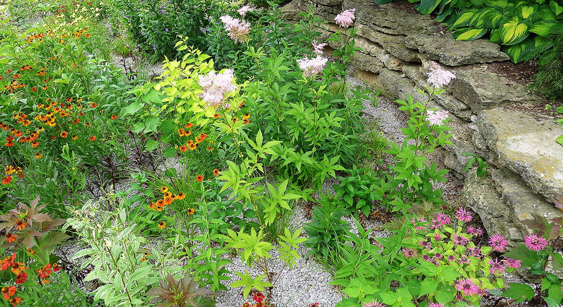 Growing Resilience: Garden Planning for a Changing Climate - Sky Nursery