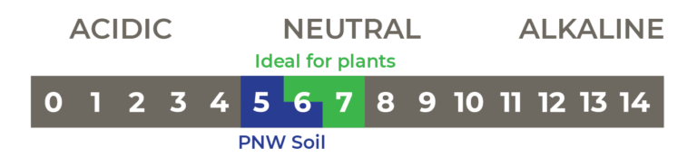 Soil Acidity in the PNW - Sky Nursery