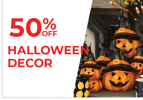 Sales & Specials - Sky Nursery